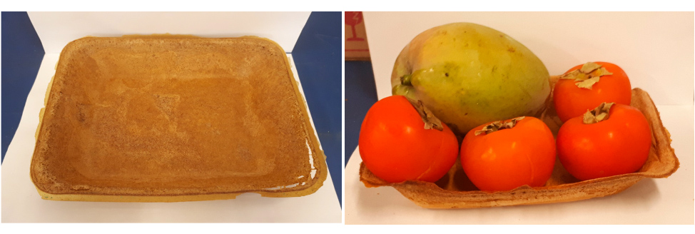 Bandejas de amido e cúrcuma são alternativa potencial para substituir o ...